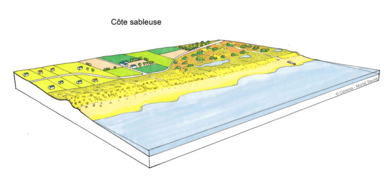 Types de côtes sur le littoral manchois | Littoral